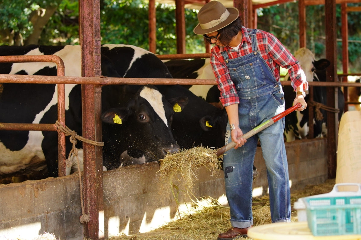 DENIM WASH LABO【OVERALL】 – BIG JOHN【公式】オンラインショップ